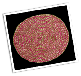 Himalayan Heritage - Himalayan Shawls, Himalayan Carpets, Himalayan ...